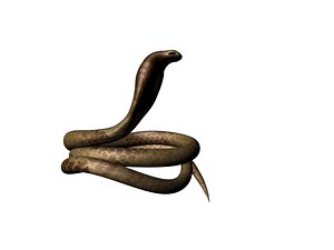 Snake 3D Models for Download | TurboSquid