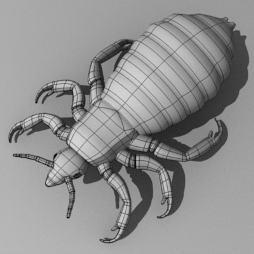 Parasites Louse Tick Flea 3ds