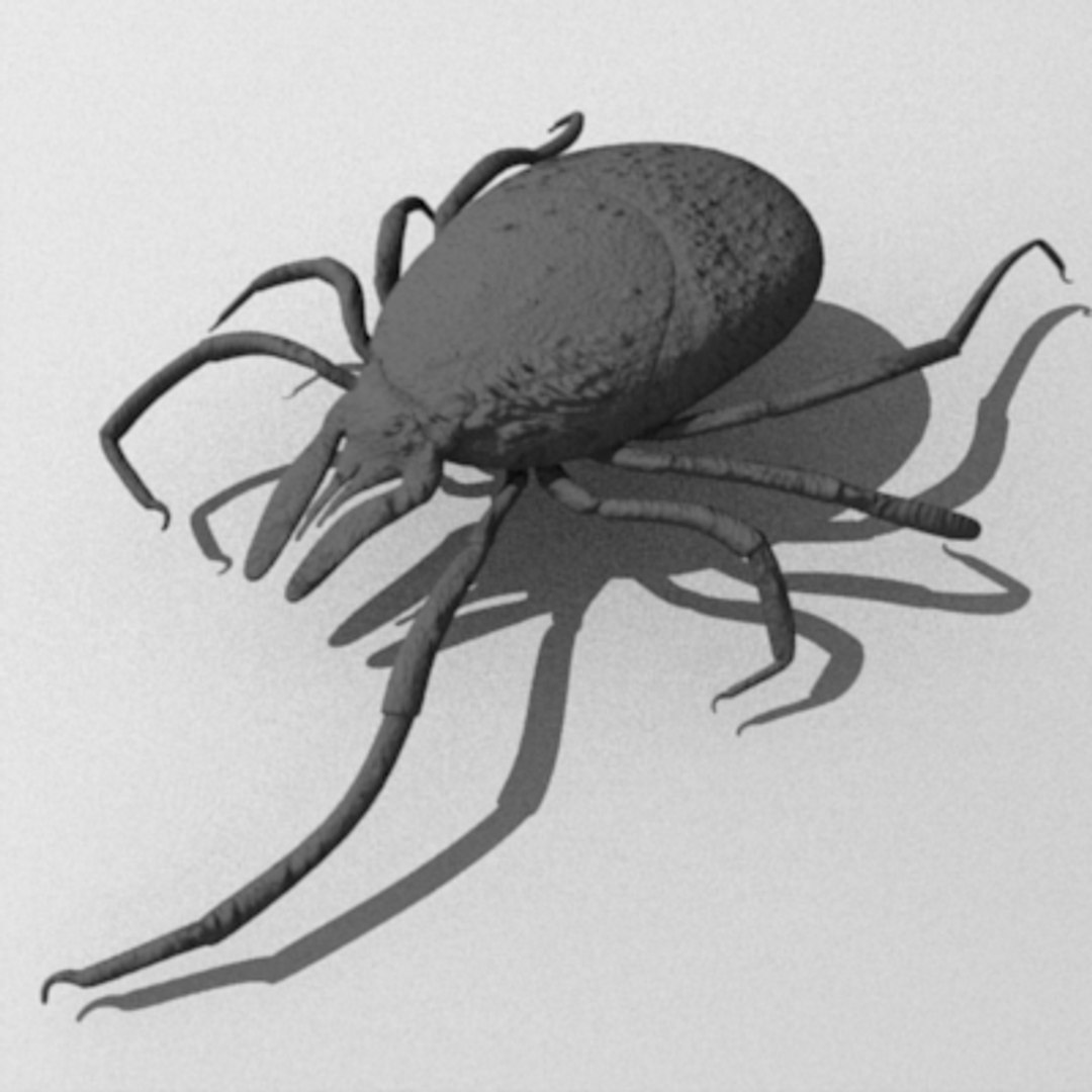 parasites louse tick flea 3ds