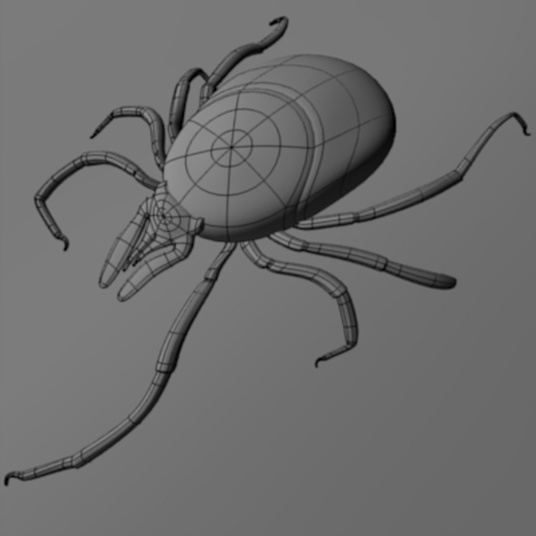 Parasites Louse Tick Flea 3ds