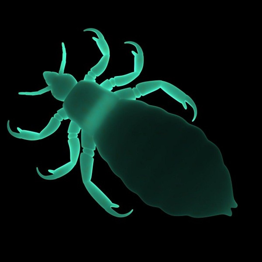 Parasites Louse Tick Flea 3ds