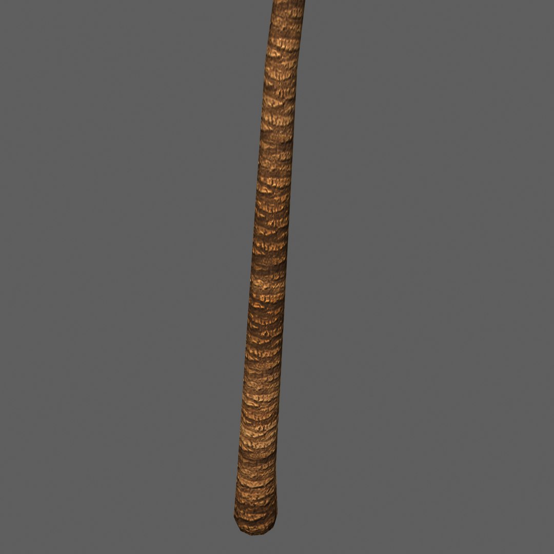 Palm Tree 3d Max