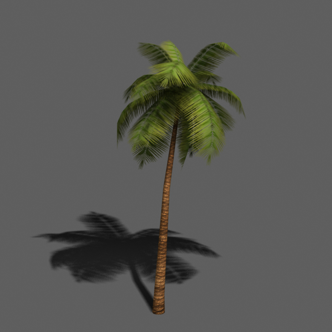 Palm Tree 3d Max