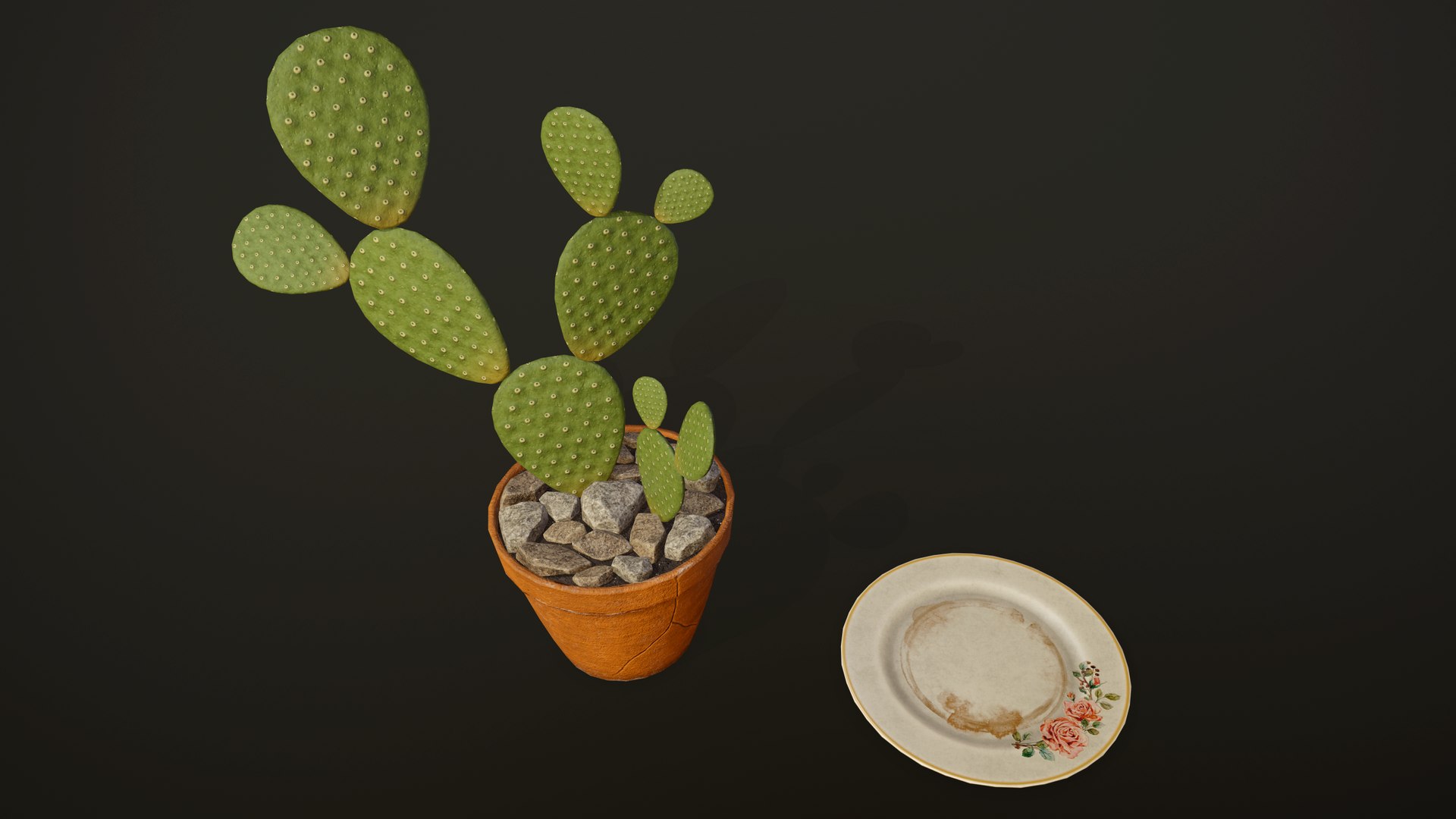 Cactus Ready Pbr - 3D Model - TurboSquid 1617164