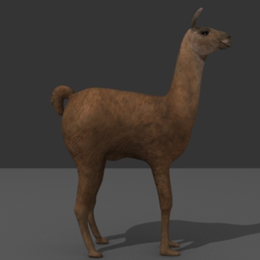 lama 3d model