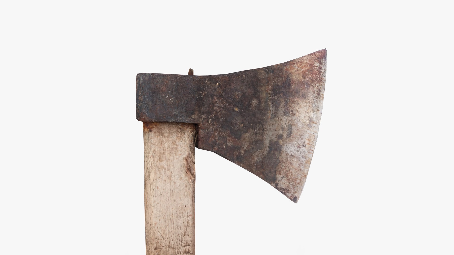 3D Model Short Axe Scan - TurboSquid 2077686