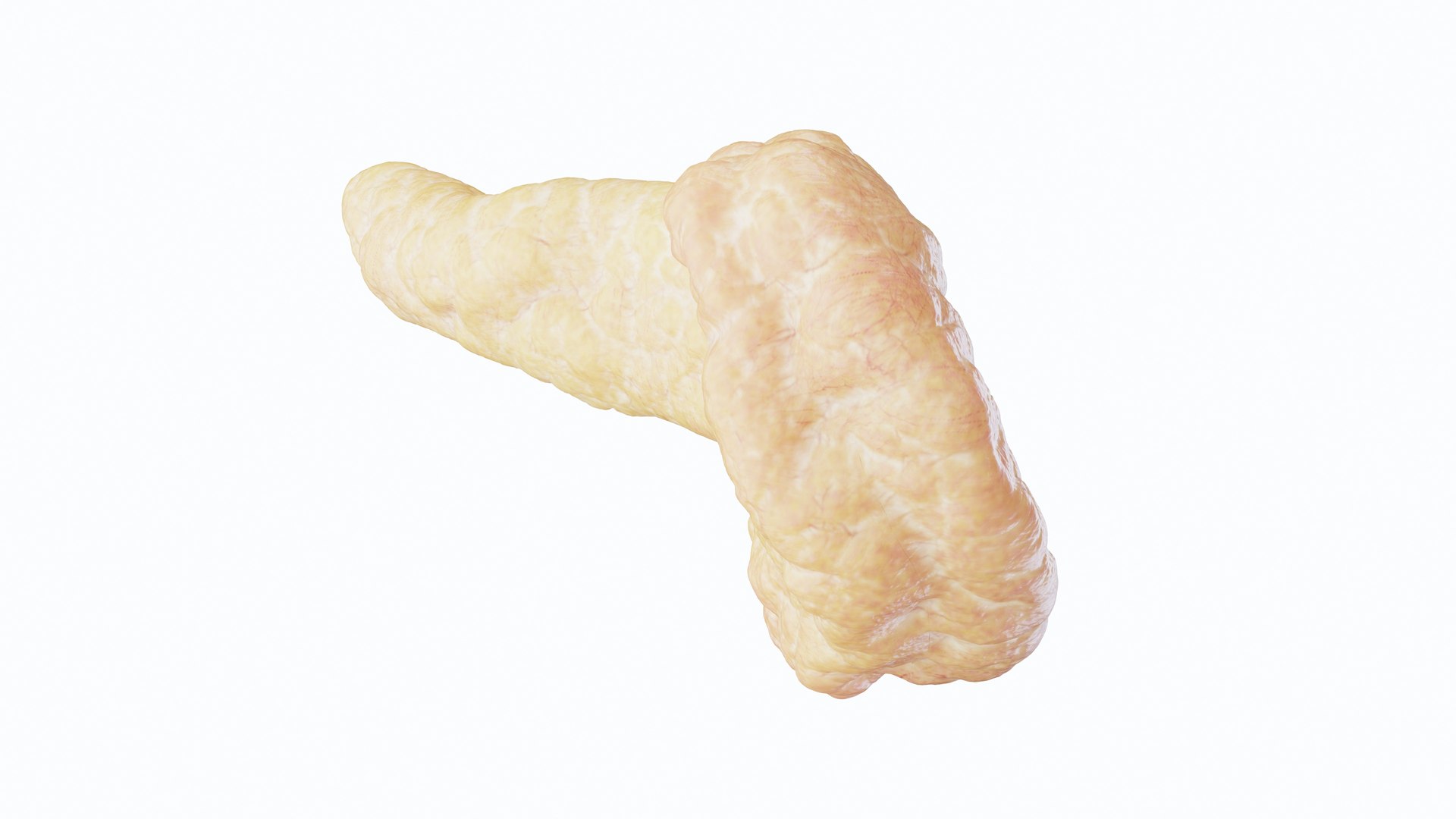 Human Pancreas 3D Model - TurboSquid 2187775