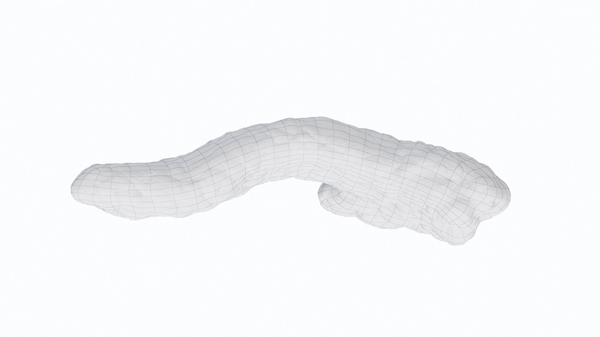 Human Pancreas 3D Model - TurboSquid 2187775