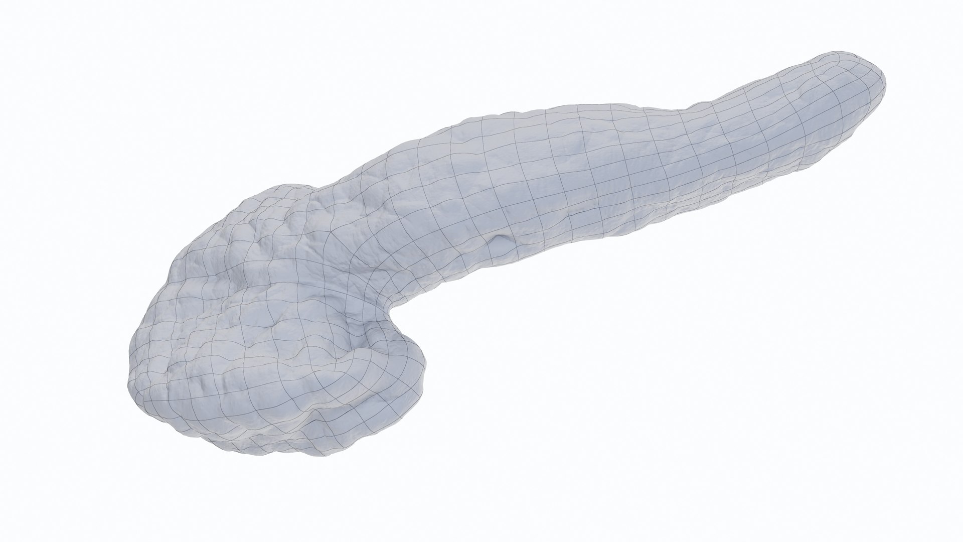 Human Pancreas 3D Model - TurboSquid 2187775