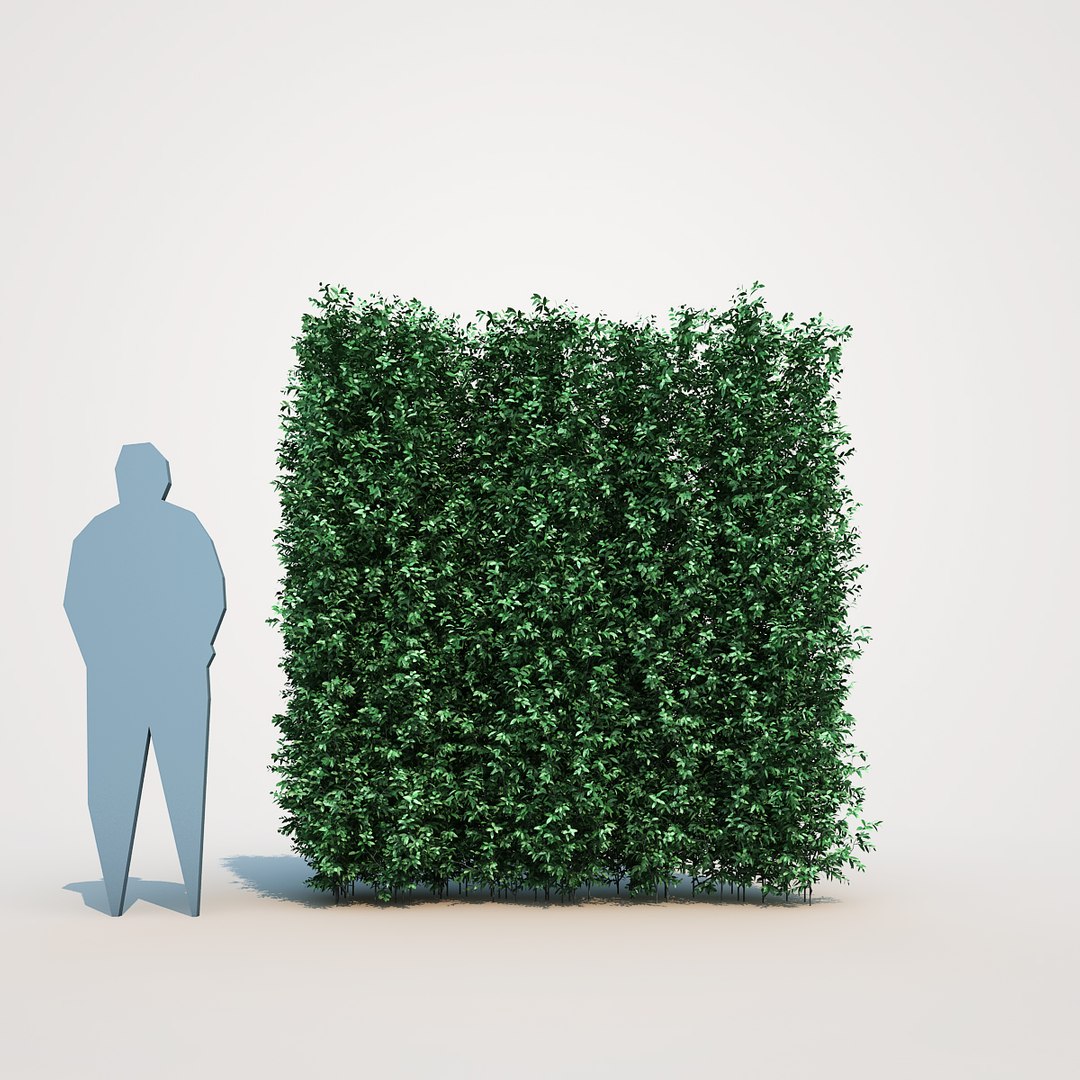 3d Tree Scatter Model