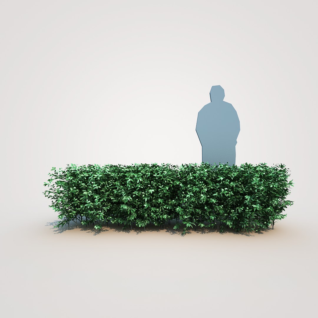 3d Tree Scatter Model