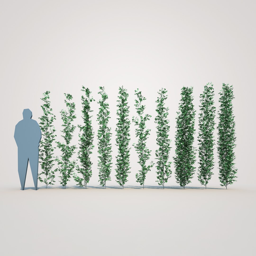 3d Tree Scatter Model