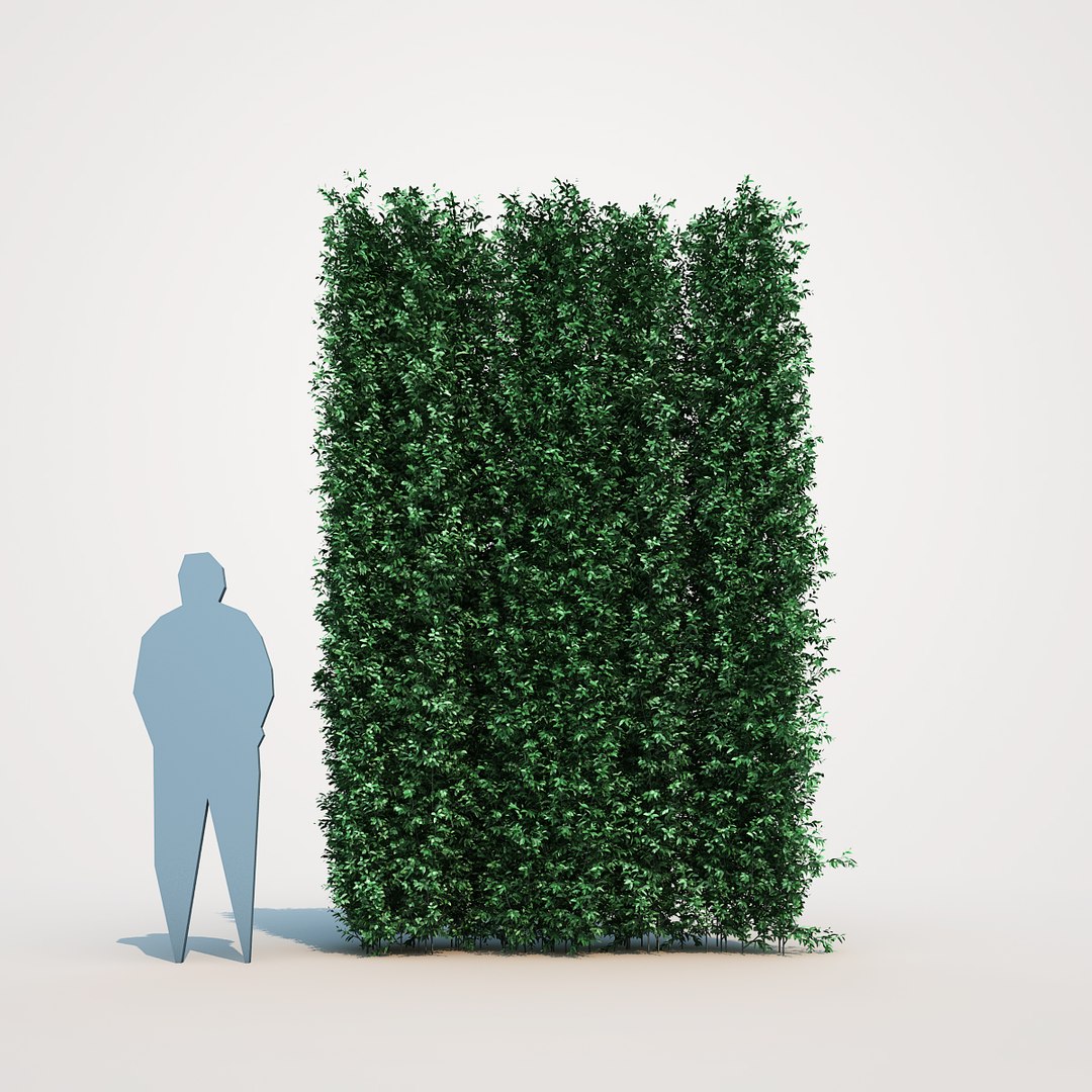 3d Tree Scatter Model