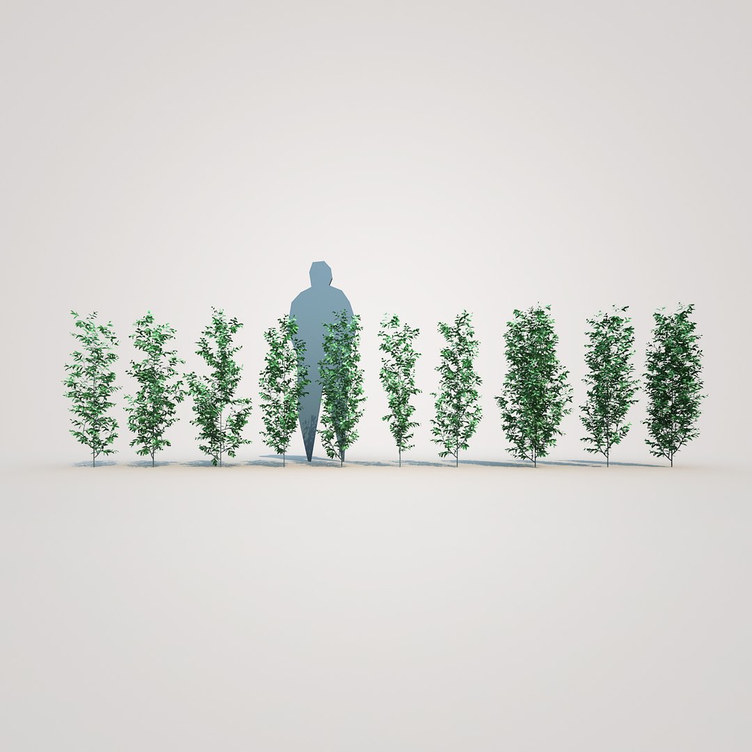 3d Tree Scatter Model