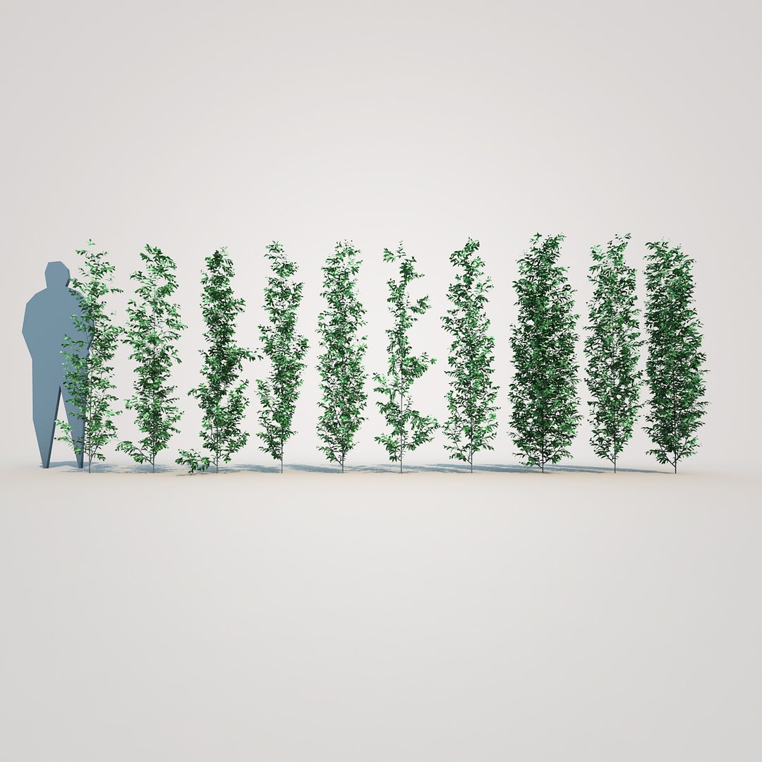 3d Tree Scatter Model