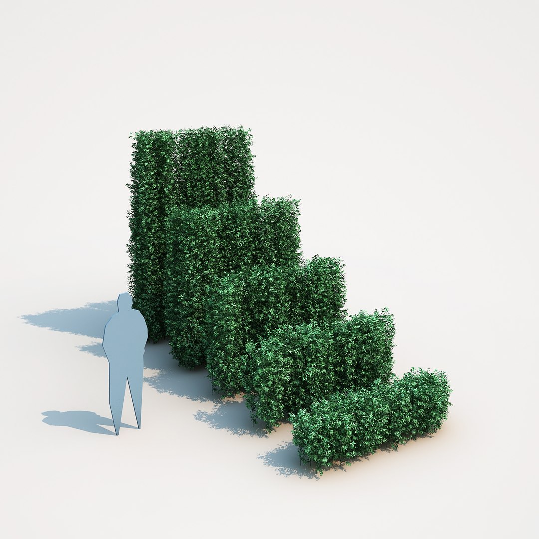 3d Tree Scatter Model