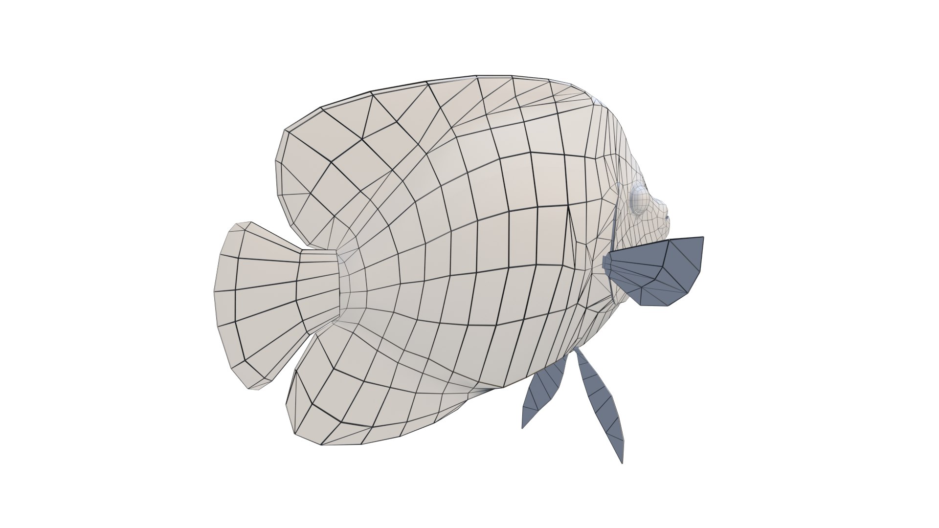 3D Model Emperor Angelfish Fish 3D Model - TurboSquid 2313585