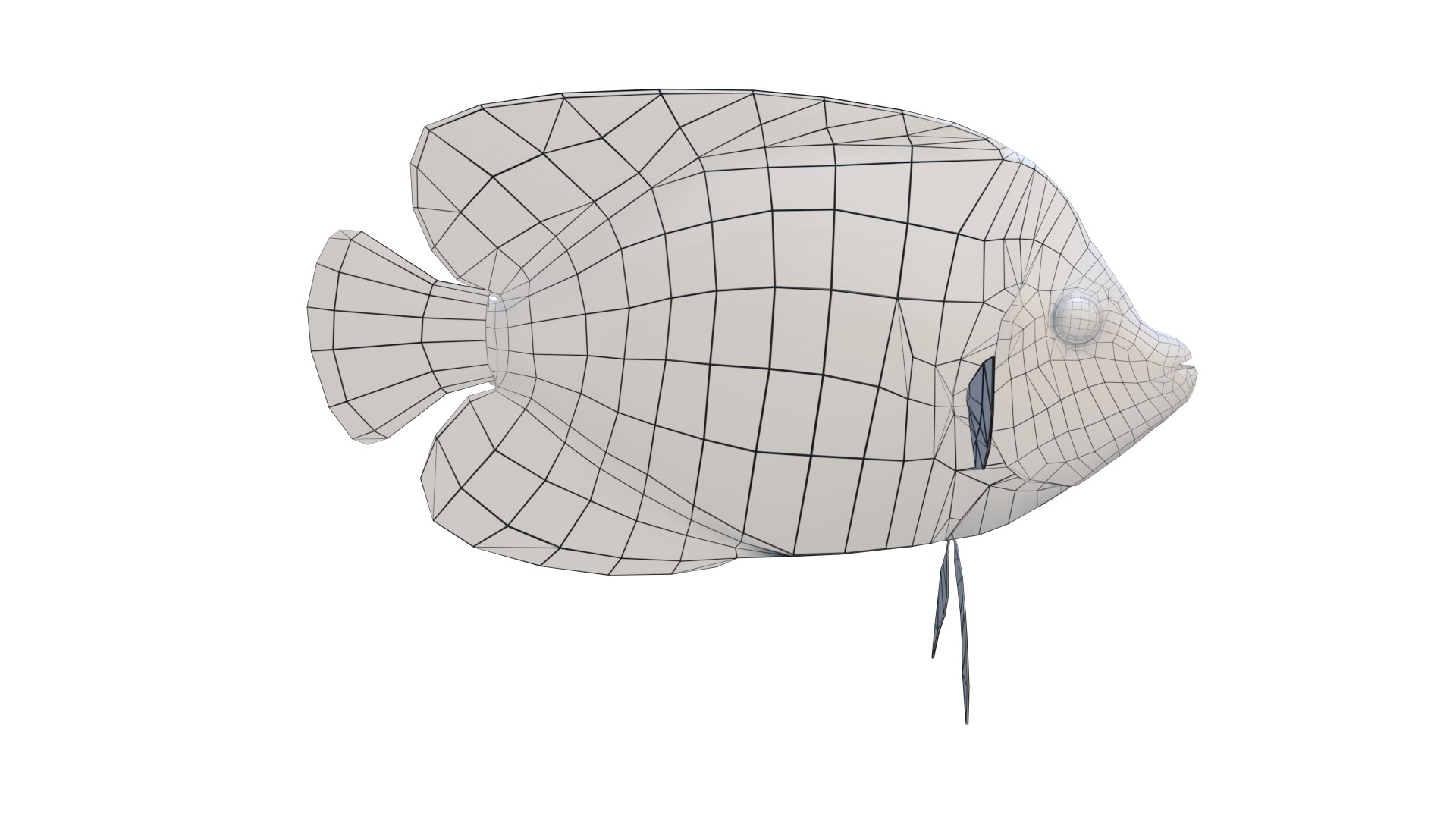 3D Model Emperor Angelfish Fish 3D Model - TurboSquid 2313585