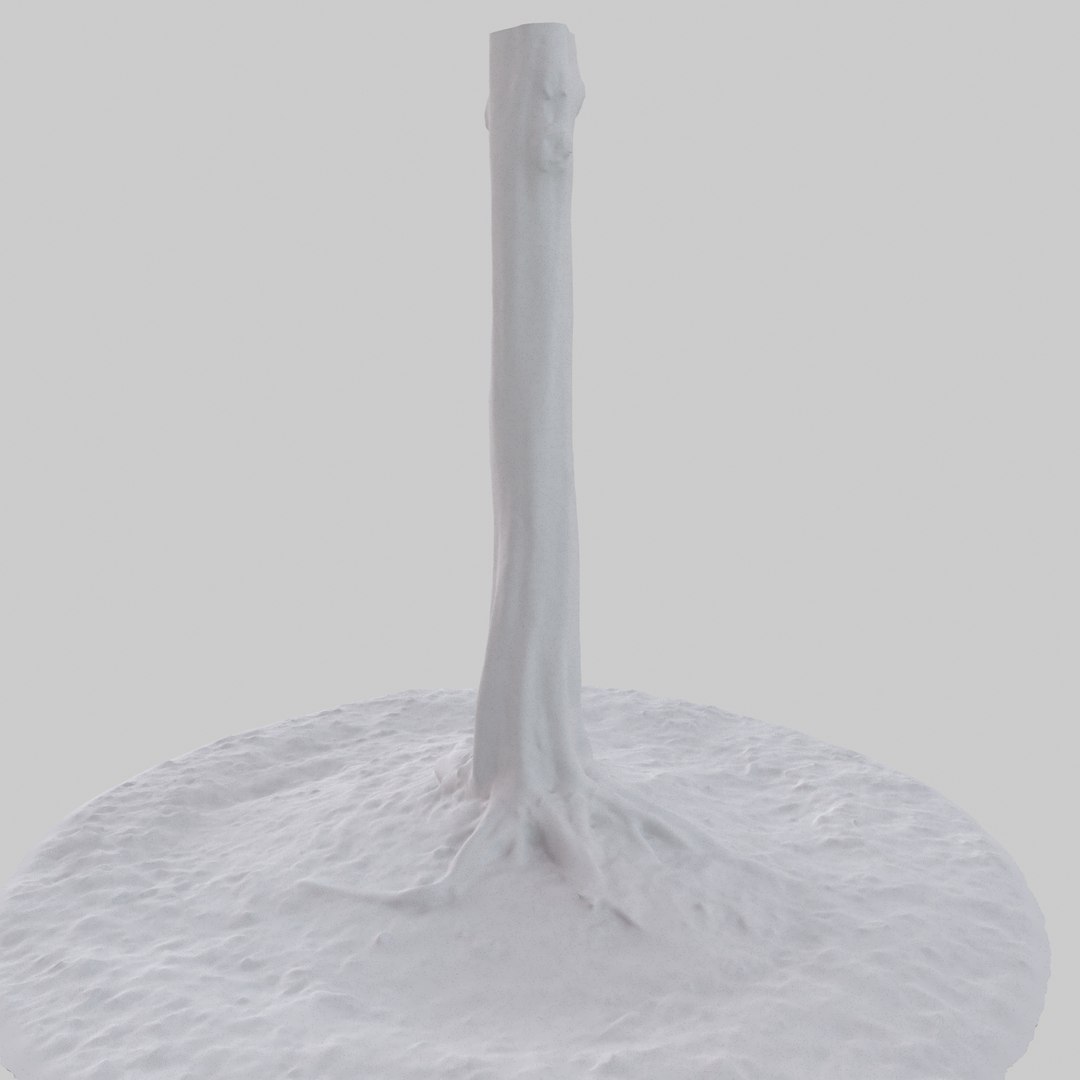3d Max Tree Trunk