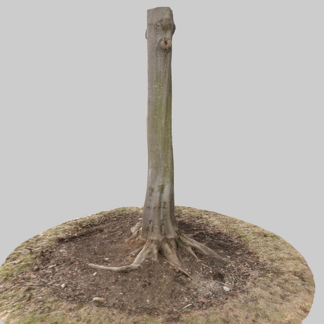 3d Max Tree Trunk