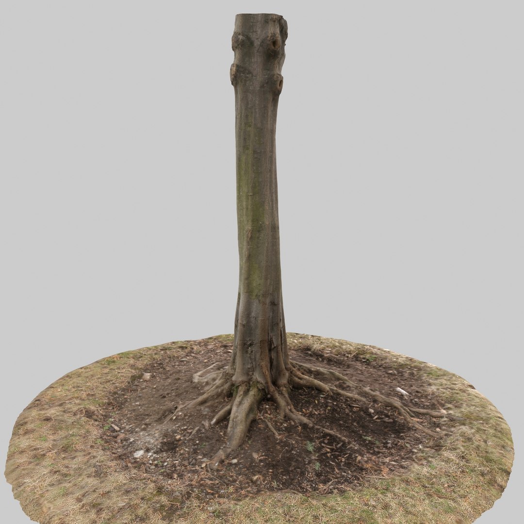 3d Max Tree Trunk