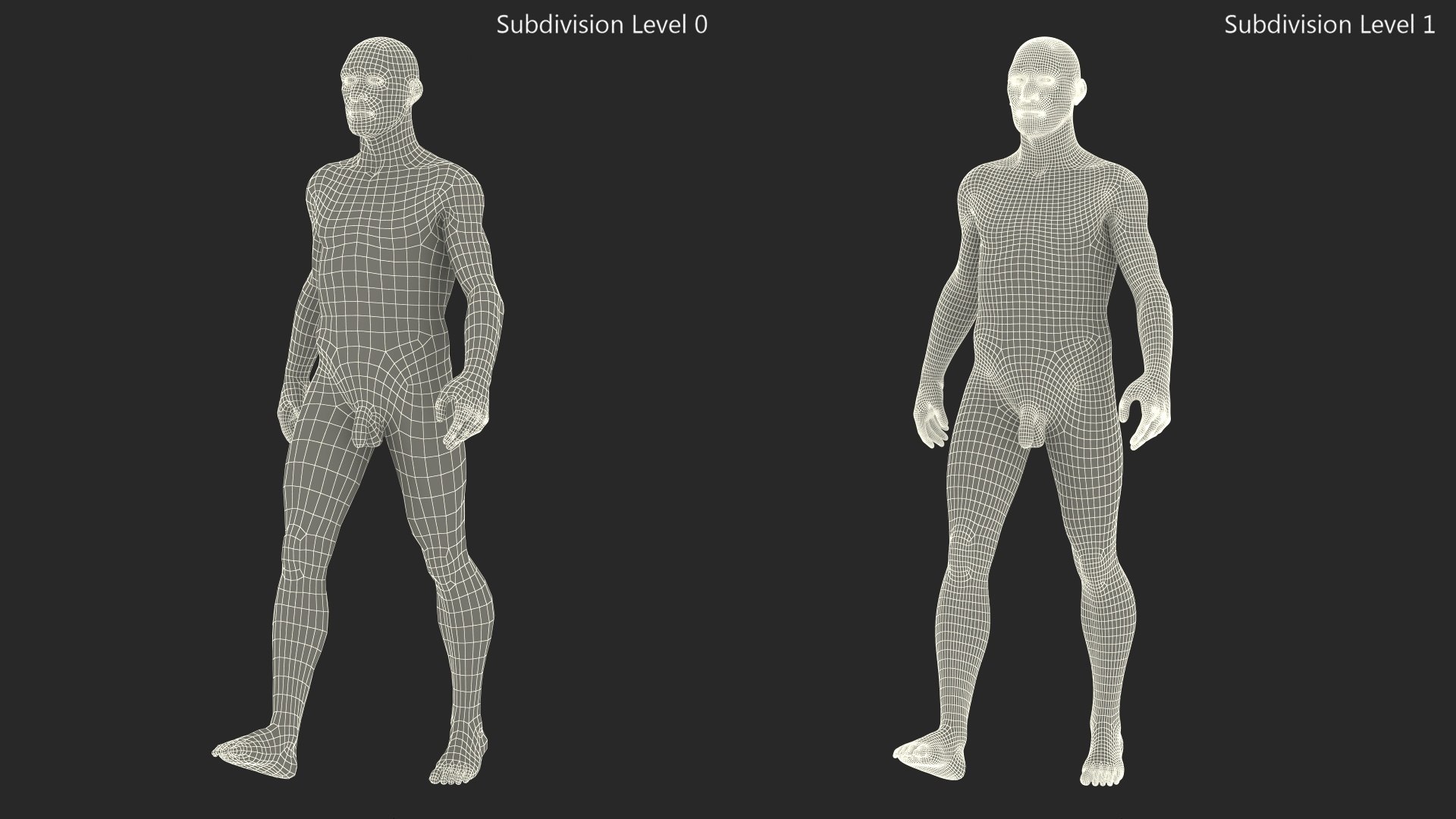 3D Model Homo Sapiens Walking Fur - TurboSquid 2166925