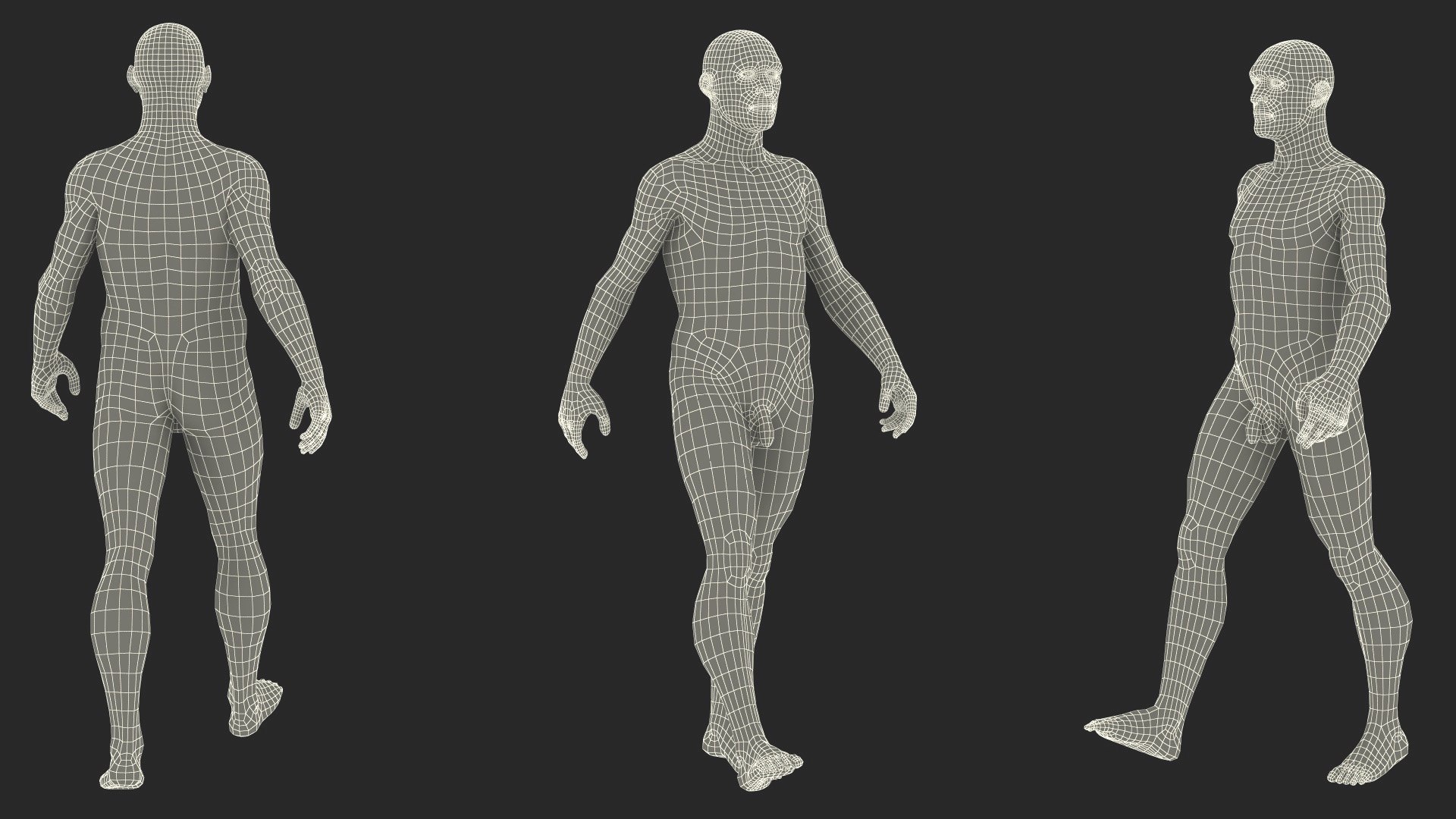 3D Model Homo Sapiens Walking Fur - TurboSquid 2166925