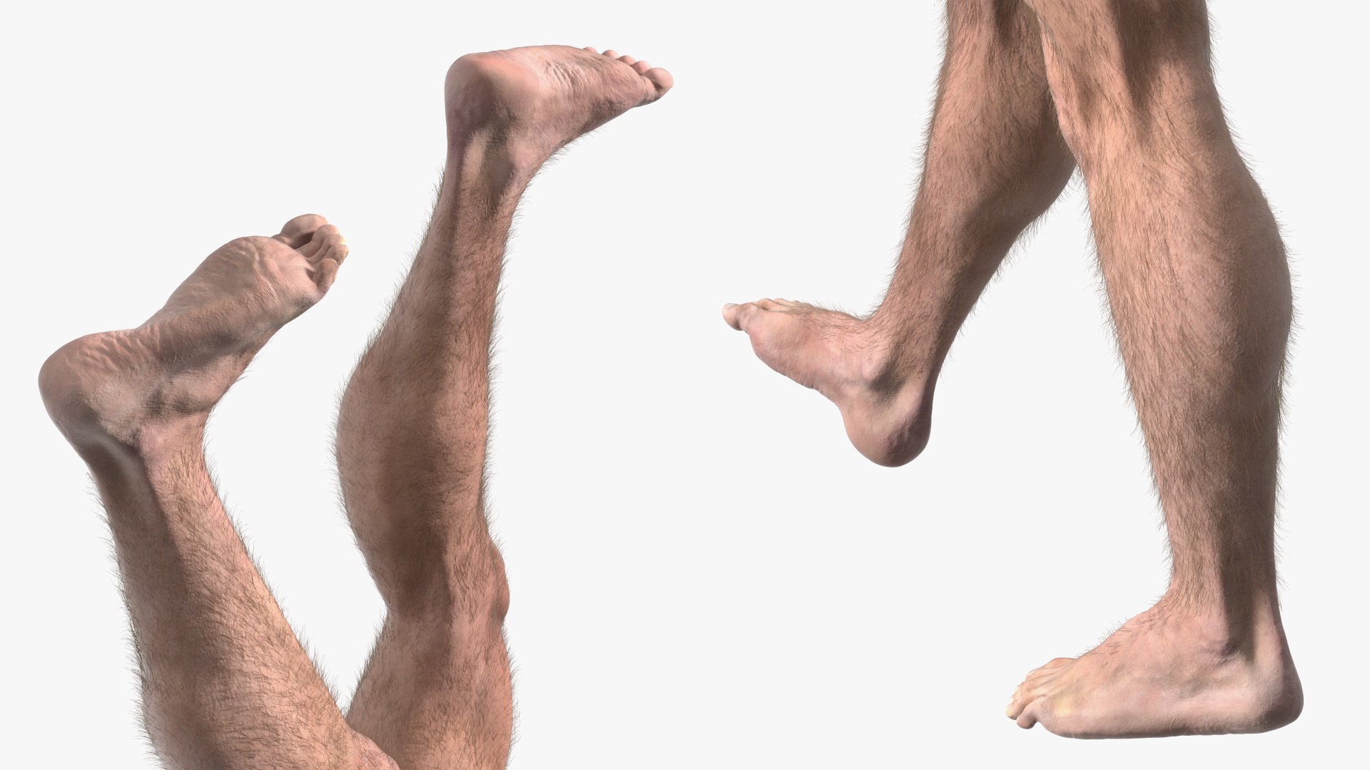 3D Model Homo Sapiens Walking Fur - TurboSquid 2166925