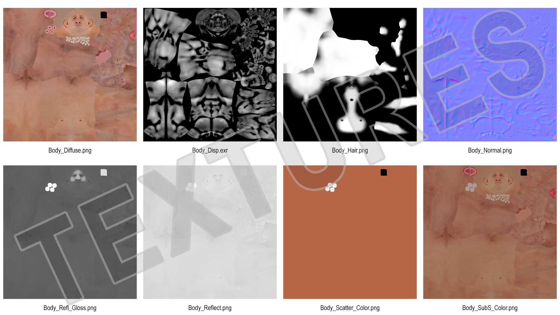 3D Model Homo Sapiens Walking Fur - TurboSquid 2166925