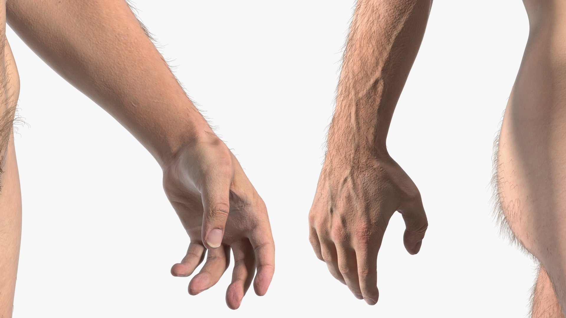 3D Model Homo Sapiens Walking Fur - TurboSquid 2166925