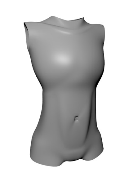 Free 3D Torso Models | TurboSquid