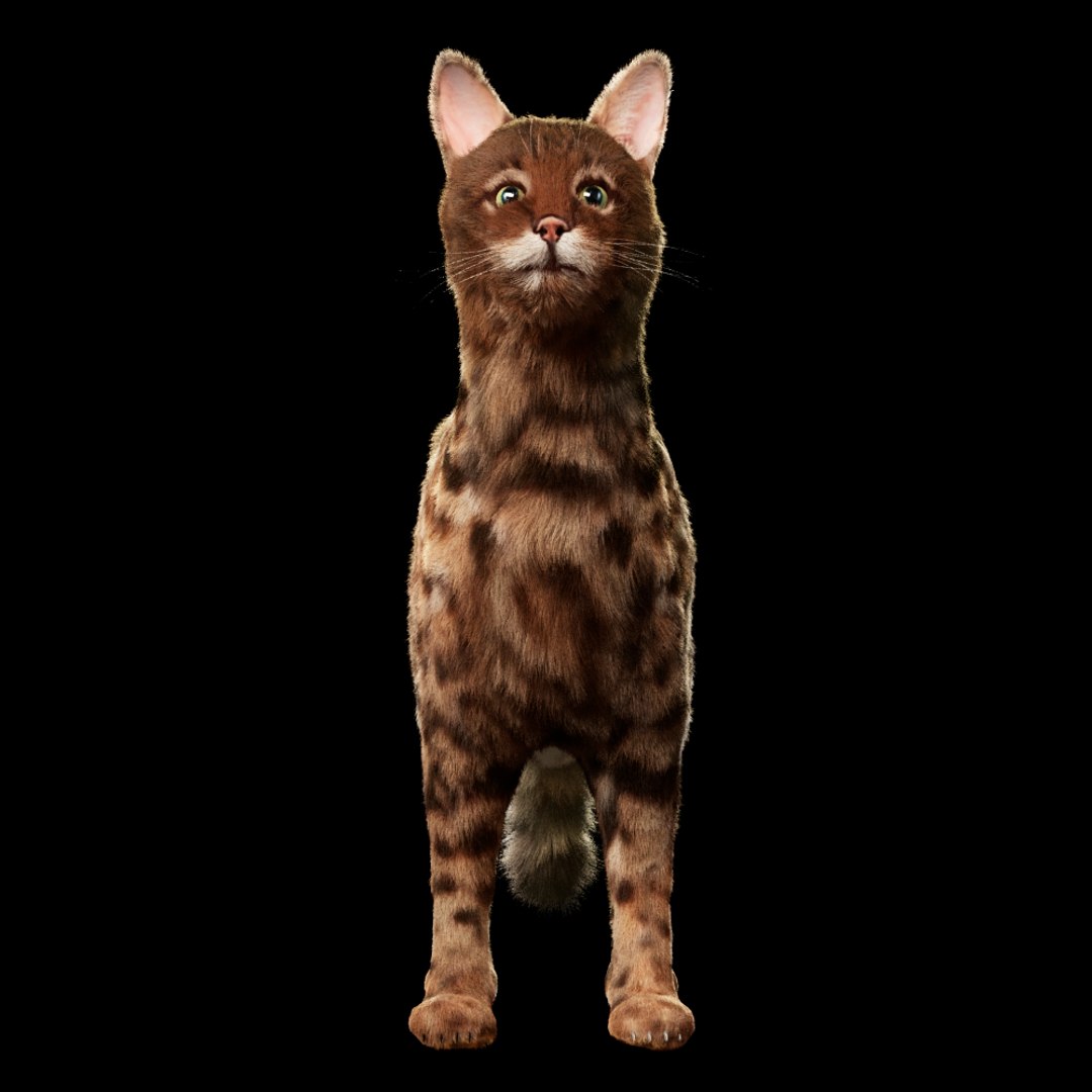 Bengal Cat 3D Model - TurboSquid 1150059