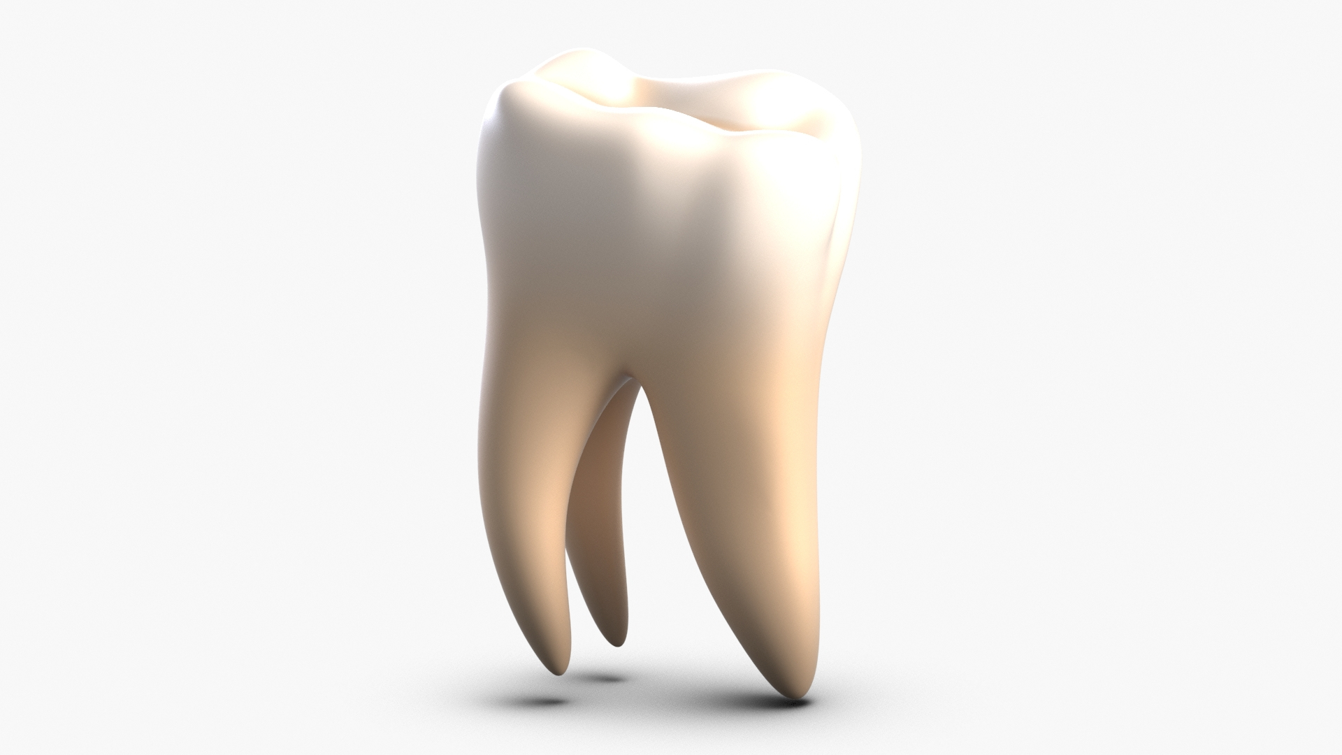 3D Tooth 2 Model - TurboSquid 1447465