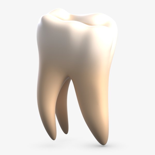 Tooth 3D Models for Download | TurboSquid