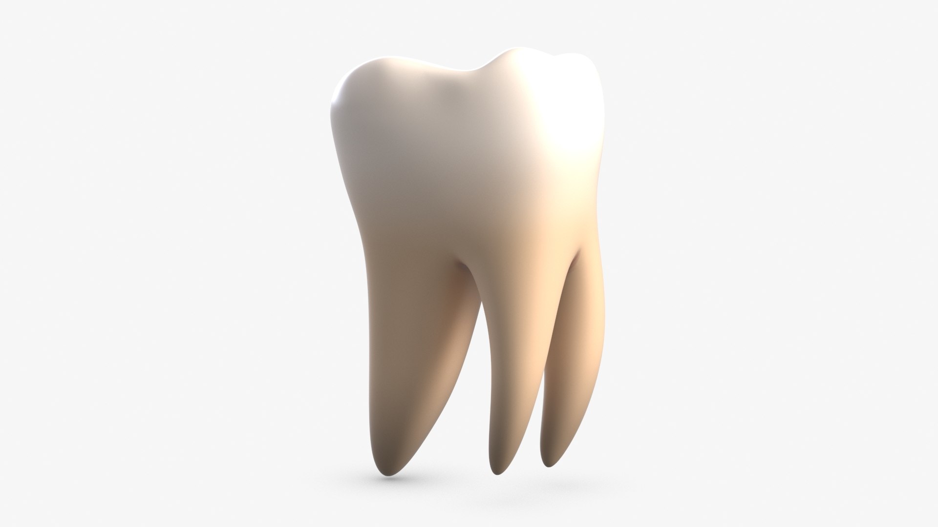 3D Tooth 2 Model - TurboSquid 1447465