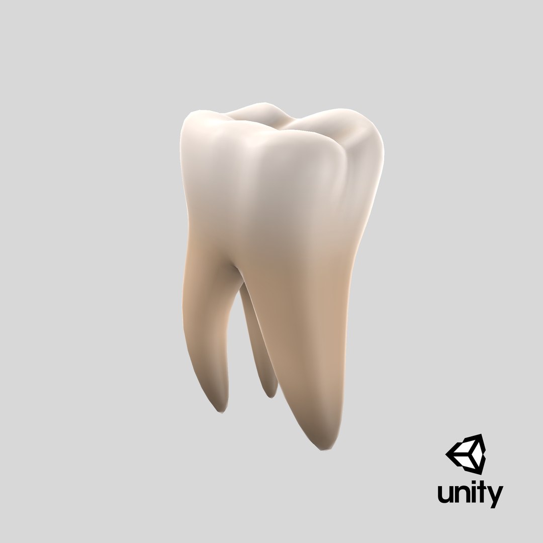 3D Tooth 2 Model - TurboSquid 1447465