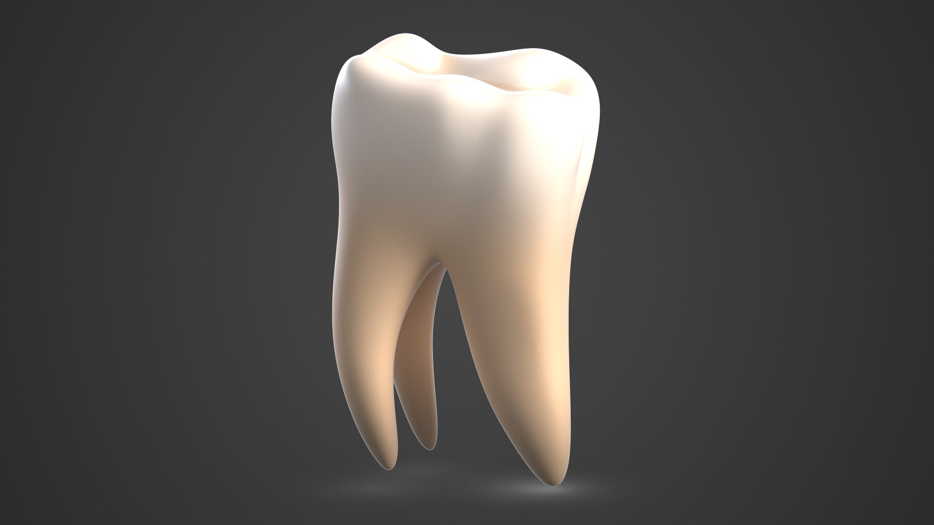 3D Tooth 2 Model - TurboSquid 1447465