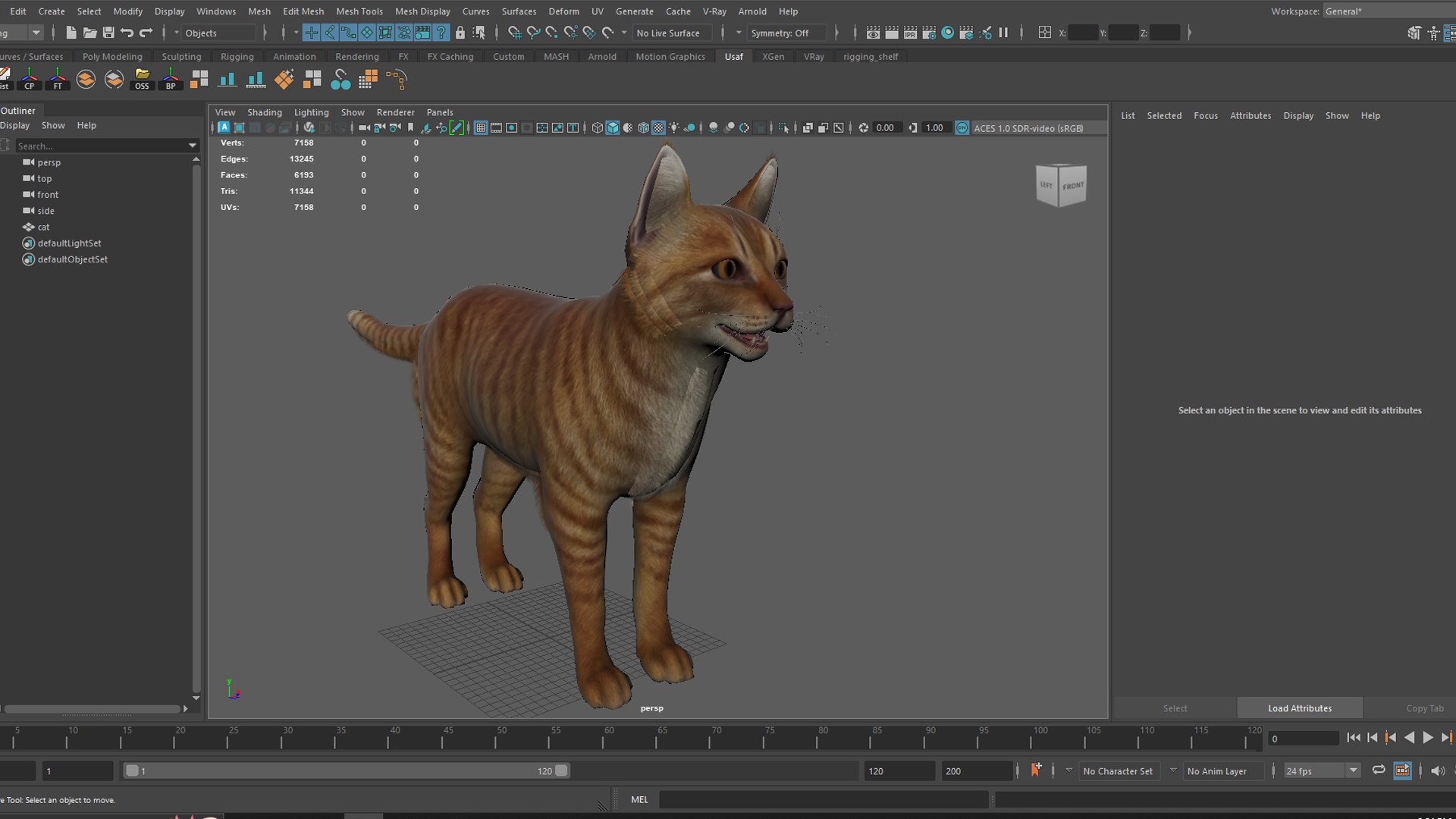 3D Cat Red Tabby Model - TurboSquid 2161526