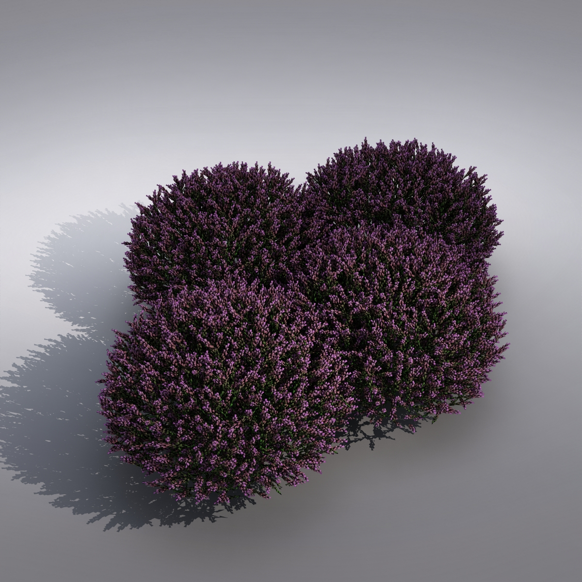 3d realistic lavender flower model
