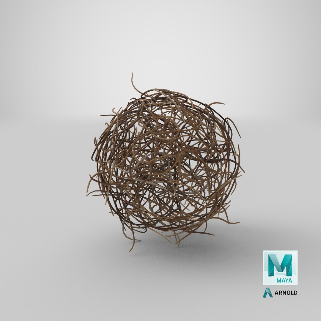 Cartoon Tumbleweed 01 3D - TurboSquid 2052551