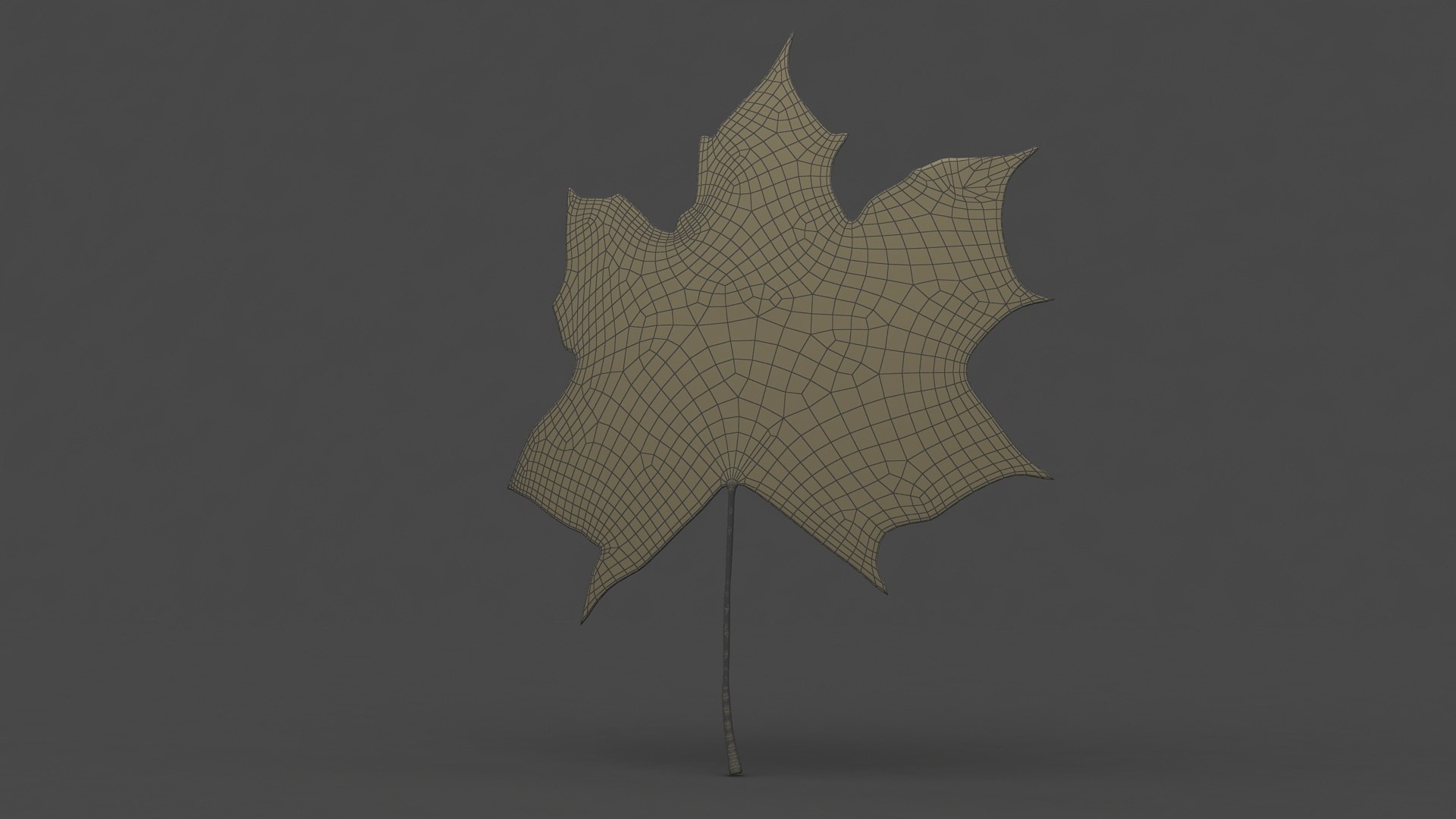 3D Model Maple Leaf V2 - TurboSquid 2039368
