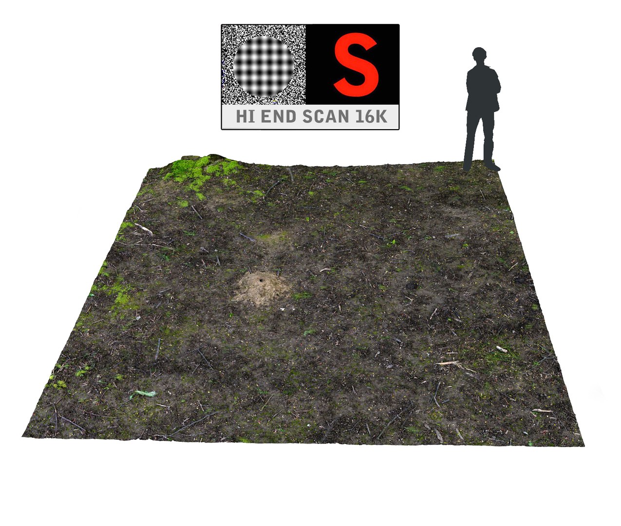 forest ground 16k hd max