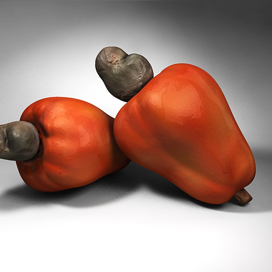 Cashew - Tropical Fruit 3d Model