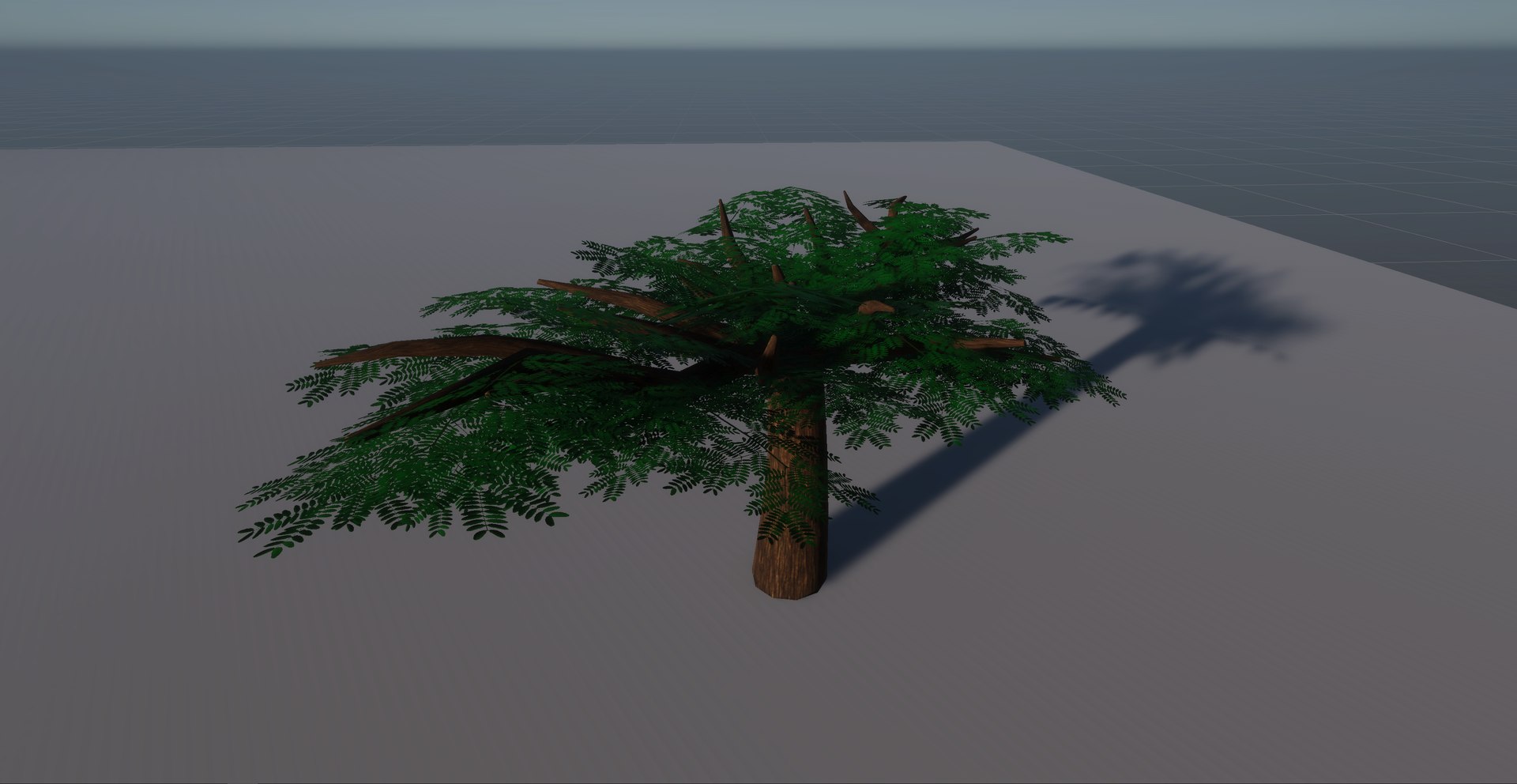 3D African Acacia Model - TurboSquid 1807004