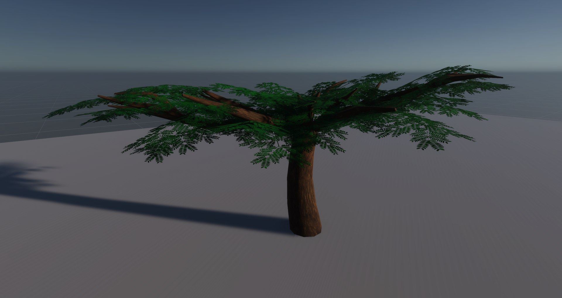 3D African Acacia Model - TurboSquid 1807004
