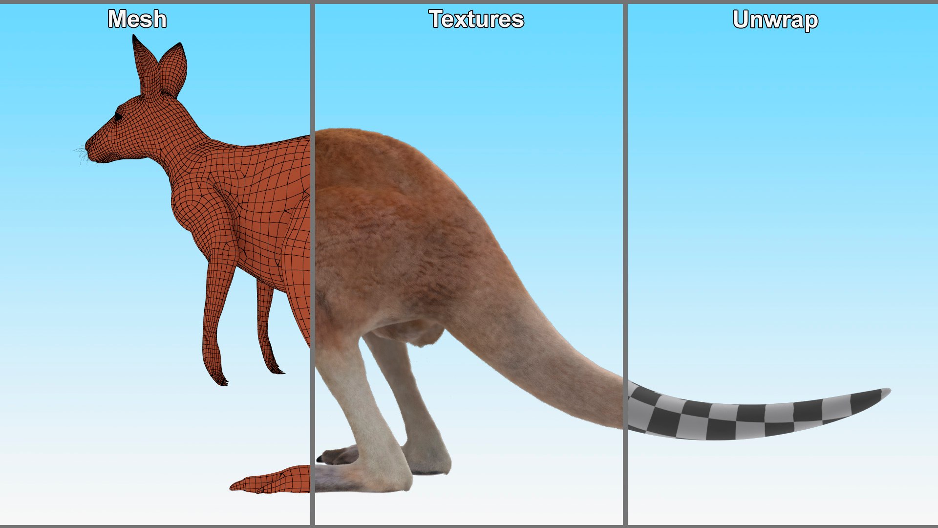 Kangaroo Fur 3D Model - TurboSquid 2268590