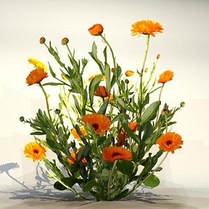 3ds Max Pc Flower