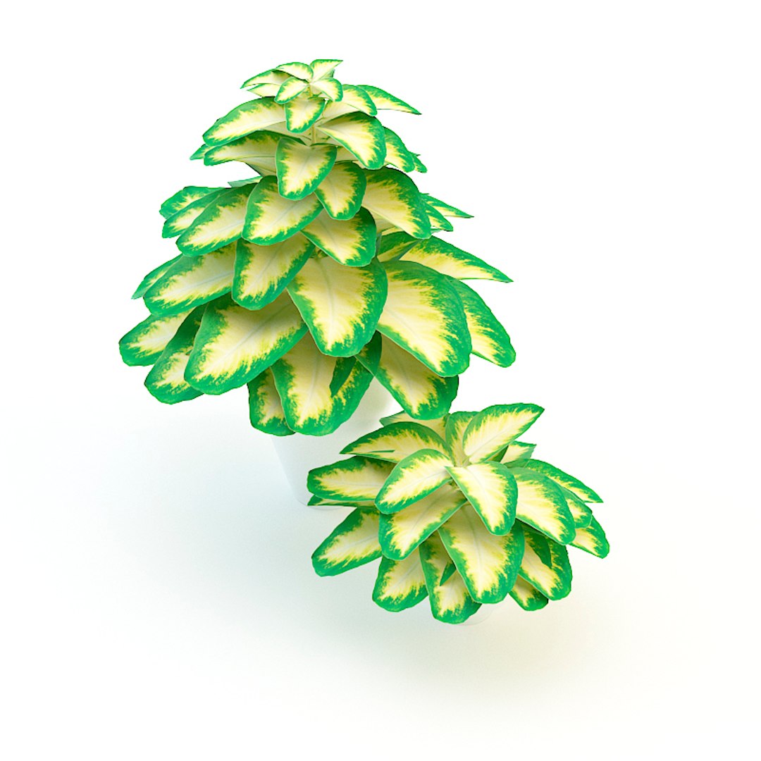 3d Forest Flowers Plants Model