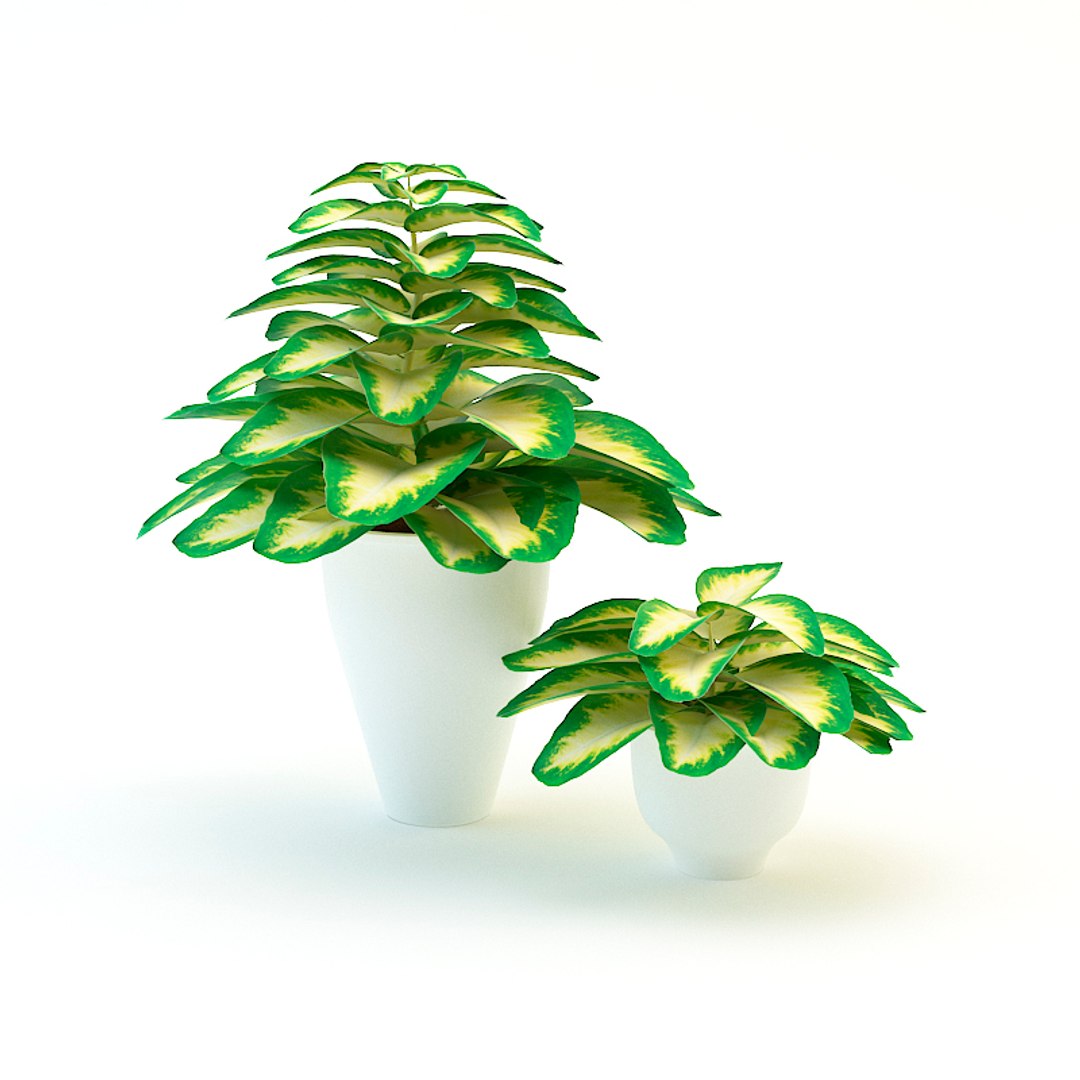3d Forest Flowers Plants Model