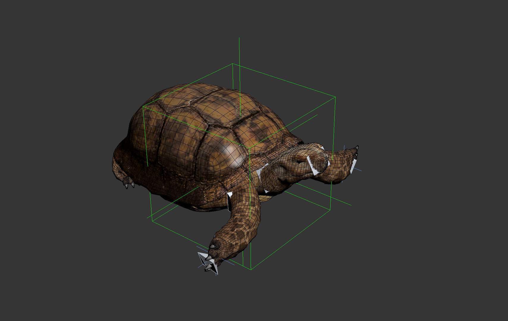 Turtle 3D Model - TurboSquid 2081535